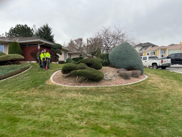 Elite Tree Service